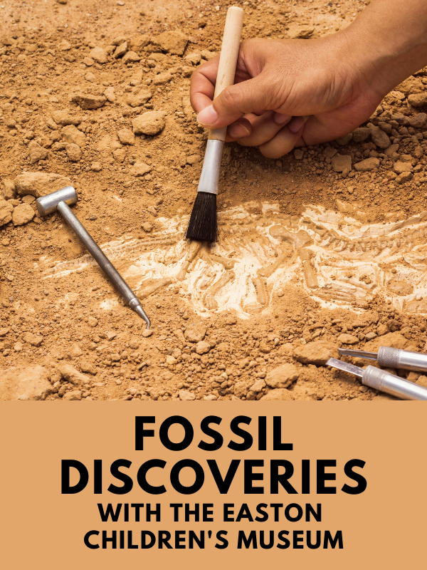 Fossil Discoveries with Easton Children's Museum Virtual Program ...